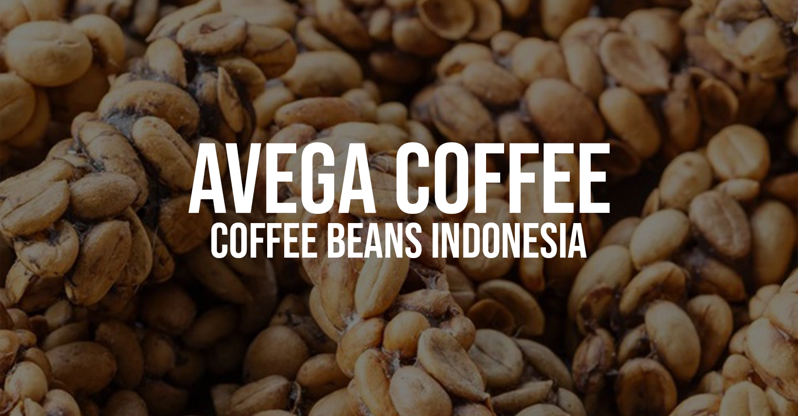 Supplier Coffee Indonesia - Avegacoffee